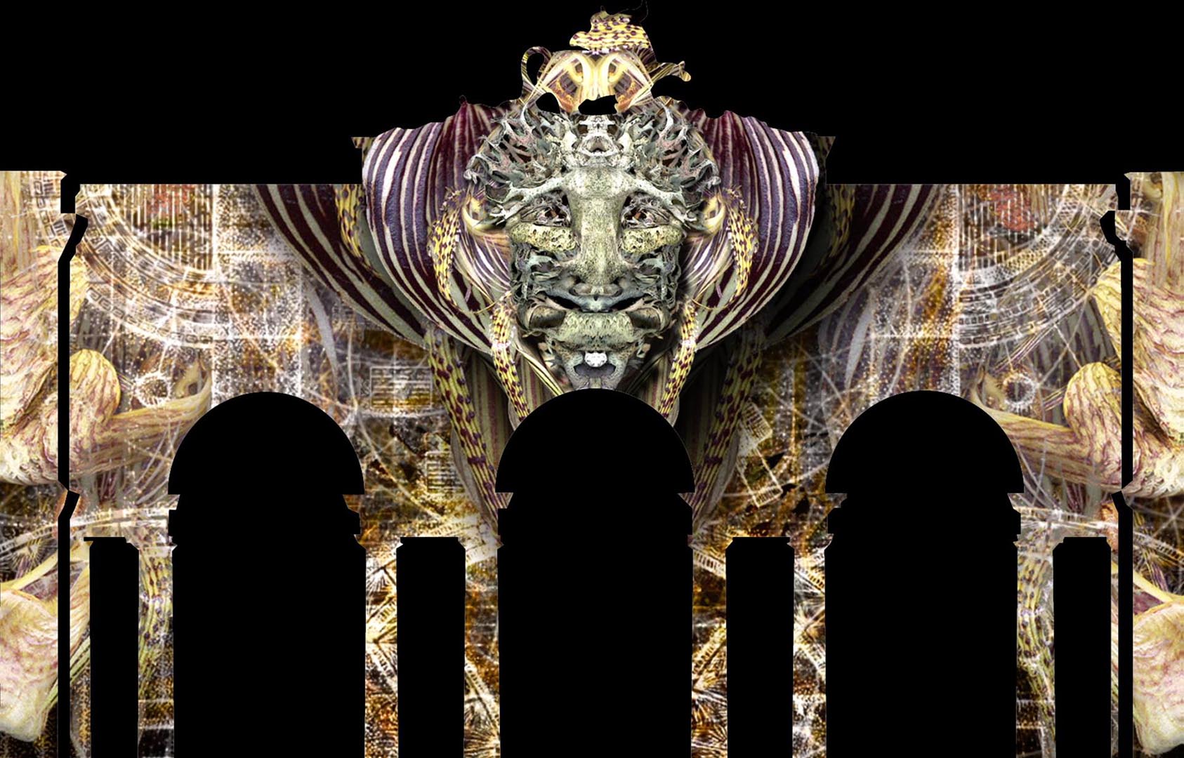 We are nature » Darklight Studio