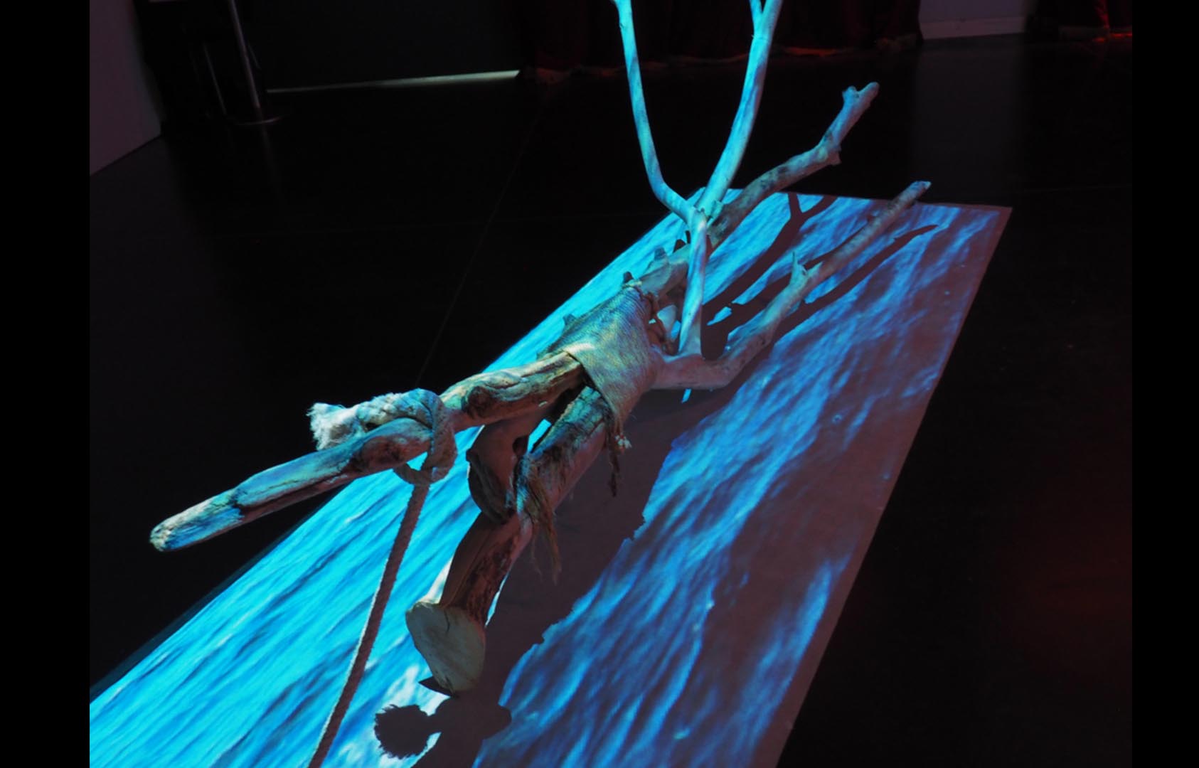 Proyectos artísticos » Darklight Studio